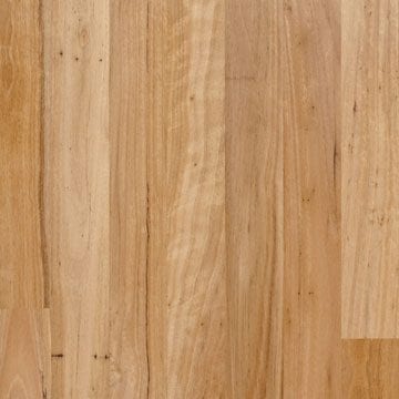 Australian Beech » Saddingtons