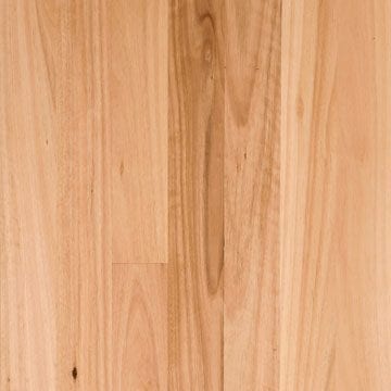 Blackbutt » Saddingtons